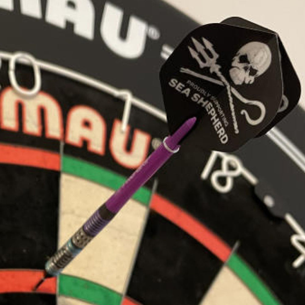 Dart flights printed on 4 sides with picture & text | Design your own ...